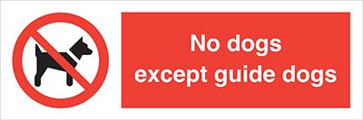 No Dogs Except Guide Dogs | Allsigns